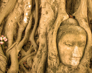 I-RAMA | I-RAMA offers courses from top thought leaders in a multitude ...